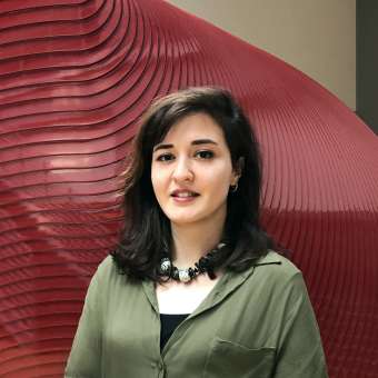 Ezgi Çiçek | Özyeğin Üniversitesi